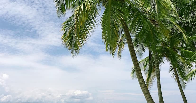 10 Best Restaurants in Sarasota, Florida (2026 Guide) | Eat Play SWFL | Eat Play SWFL